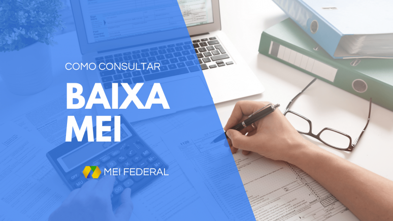 Declaração anual MEI e serviços do portal do empreendedor, compreenda ...
